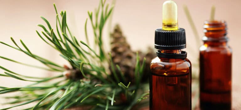Pine Oil Benefits, Uses, Side Effects and How to Use - Dr. Axe
