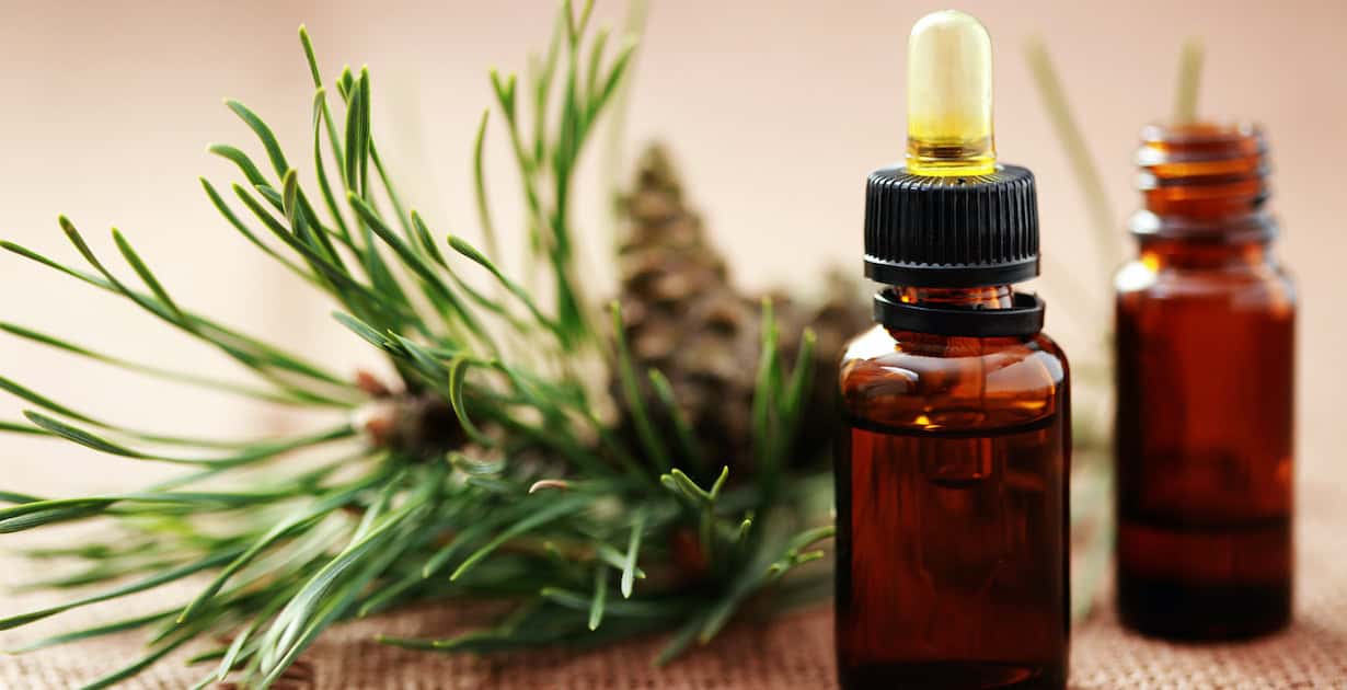 Pine Oil Benefits, Uses, Side Effects and How to Use - Dr. Axe