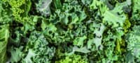 Kale Health Benefits, Nutrition Facts and Recipes - Dr. Axe
