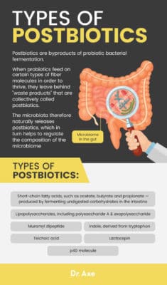 Postbiotics Benefits, Top Sources and Side Effects - Dr. Axe