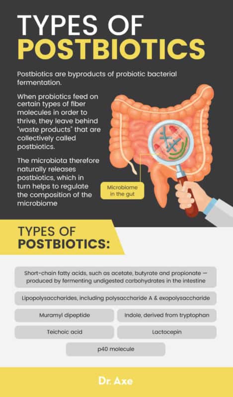 Postbiotics Benefits, Top Sources and Side Effects - Dr. Axe