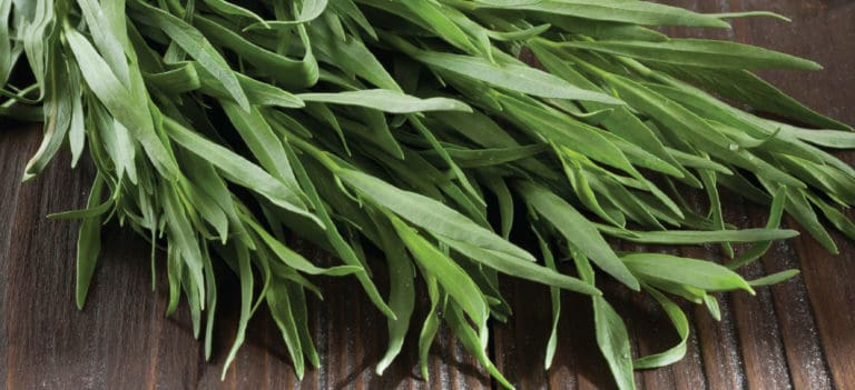 Tarragon Benefits, Nutrition and How to Use - Dr. Axe