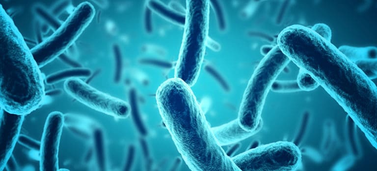 C Diff Infection Causes & Symptoms + 8 Natural Treatments - Dr. Axe