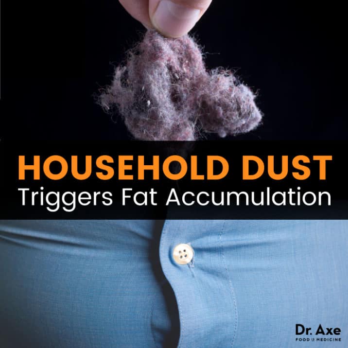 House Dust Causes Fat Gain? Shocking Results from New Lab Tests - Dr. Axe