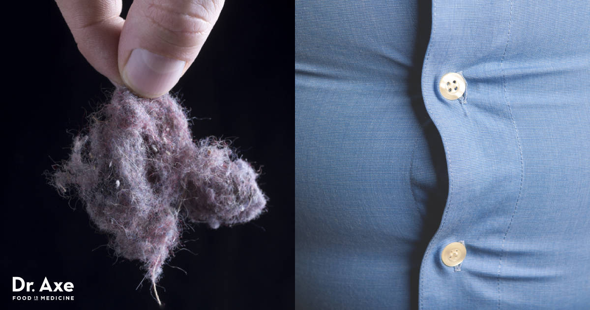 House Dust Causes Fat Gain? Shocking Results from Lab Tests