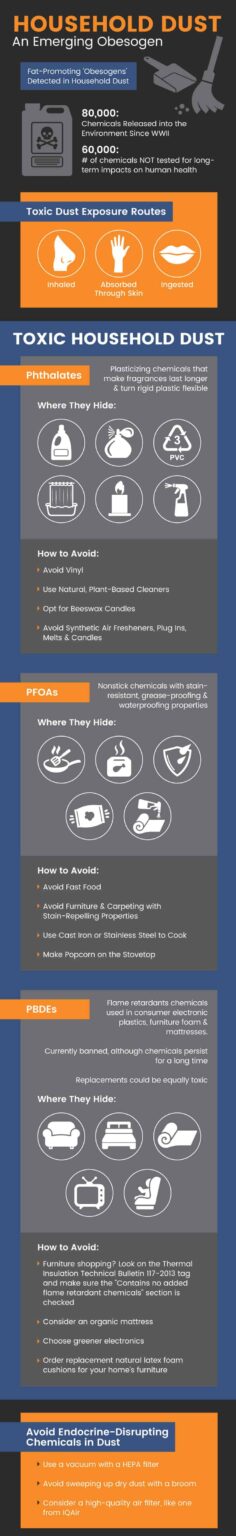 House Dust Causes Fat Gain? Shocking Results from Lab Tests