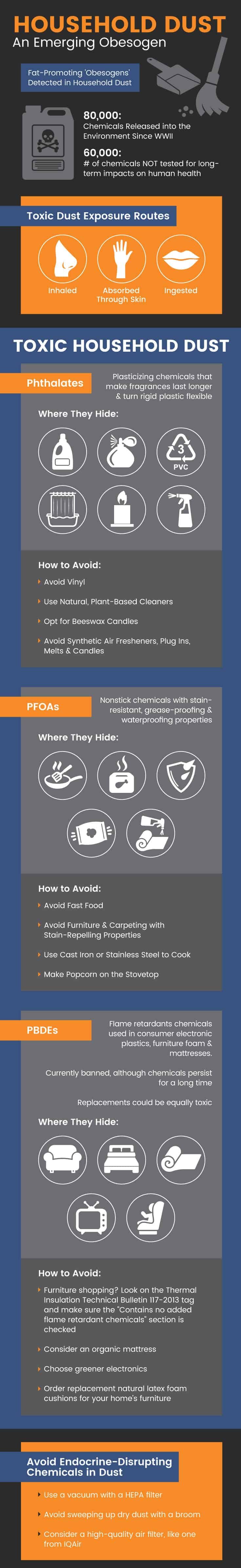 House Dust Causes Fat Gain? Shocking Results from Lab Tests