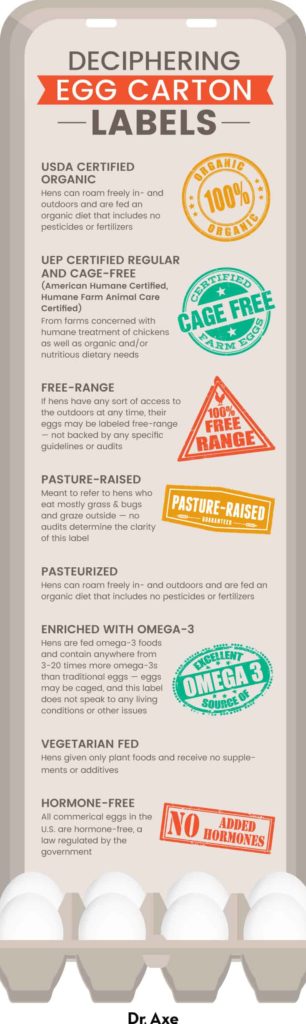 Are Eggs Dairy? Plus What You Need to Know About Eggs - Dr. Axe