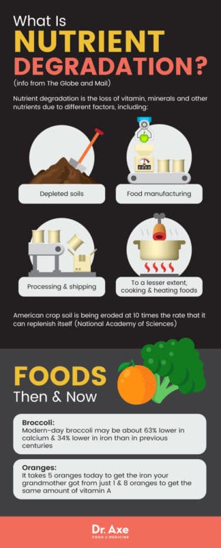 Top Nutrient-Dense Foods and Their Benefits