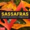 Sassafras Benefits vs. Sassafras Dangers - Dr. Axe