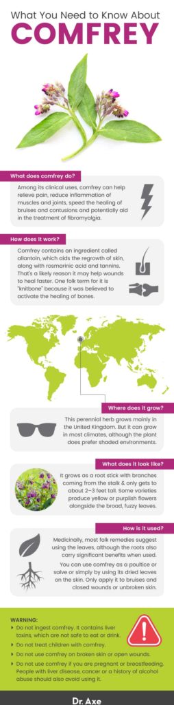 Comfrey Benefits, Uses and Risks - Dr. Axe