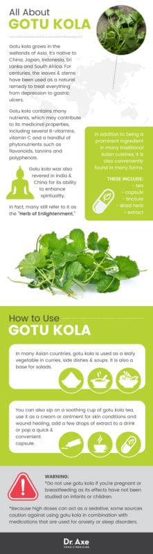 Gotu Kola May Help Boost Your Memory & Mood + Other Benefits - Dr. Axe