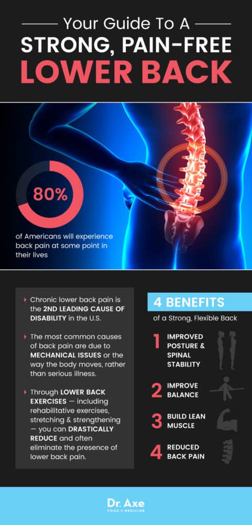 Lower Back Exercises & Stretches for a Strong, Pain-Free Back - Dr. Axe