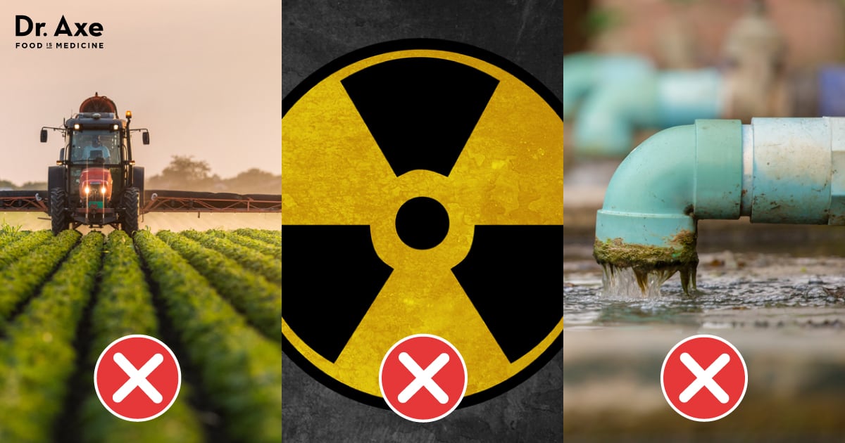 Organic Farming: 5 Major Benefits and How to Feed the World - Dr. Axe