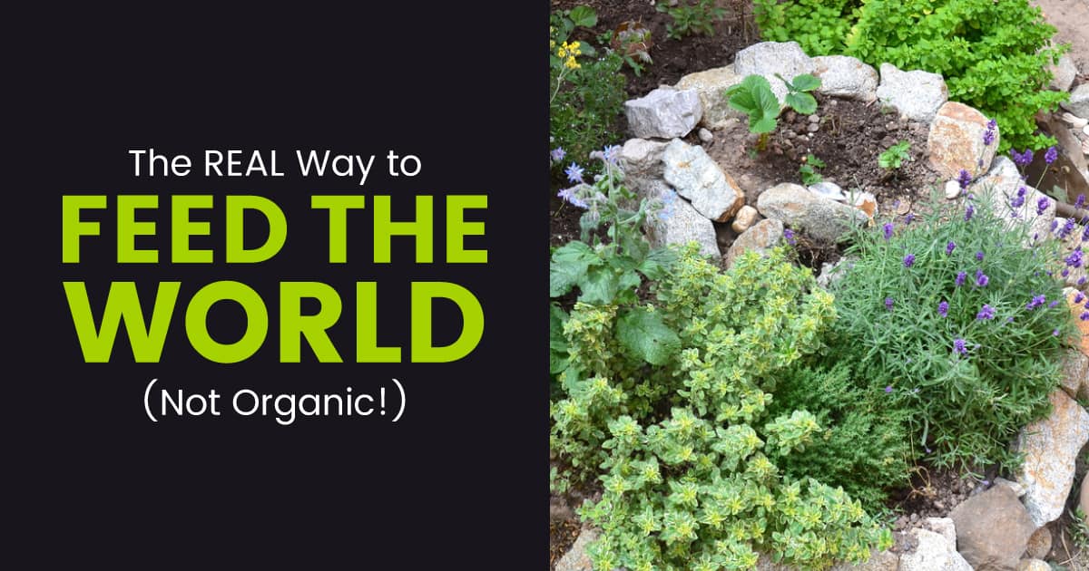 Permaculture: The Best Farming System to Feed the World - Dr. Axe