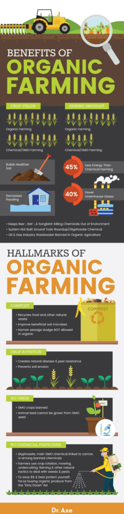 Organic Farming: 5 Major Benefits and How to Feed the World - Dr. Axe
