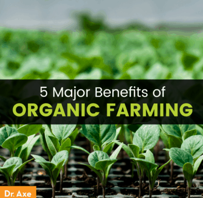 Organic Farming: 5 Major Benefits and How to Feed the World - Dr. Axe
