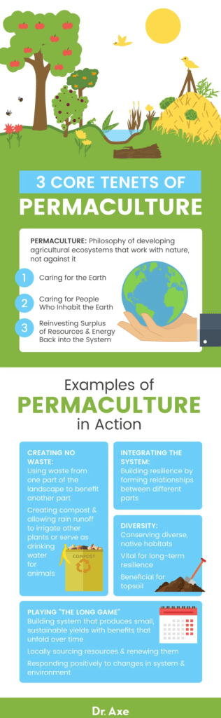 Permaculture: The Best Farming System to Feed the World - Dr. Axe