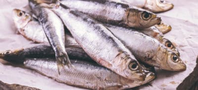 Anchovies Nutrition, Benefits, Recipes, Side Effects and More - Dr. Axe