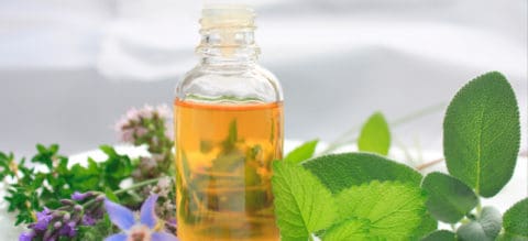 Borage Oil Benefits, Uses, Dosage and Side Effects - Dr. Axe