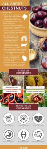 Chestnut Benefits, Nutrition, Recipes, How to Roast and More - Dr. Axe