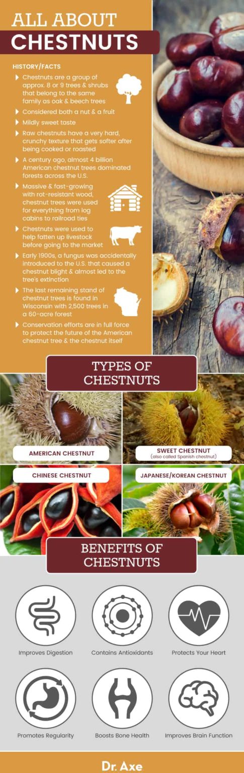 Chestnut Benefits, Nutrition, Recipes, How to Roast and More - Dr. Axe