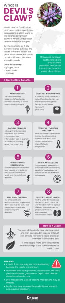 Devil's Claw Benefits Include Pain Relief & More - Dr. Axe