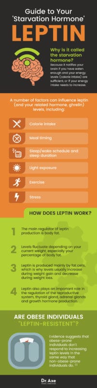 Leptin: How to Turn On This Fat-Burning Hormone - Dr. Axe