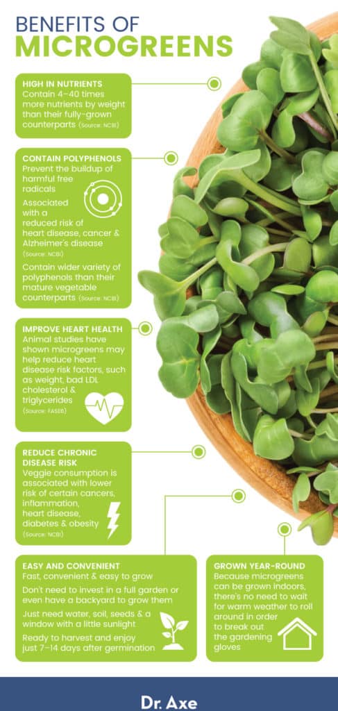 Microgreens: Nutrition, Benefits and How to Grow Them - Dr. Axe