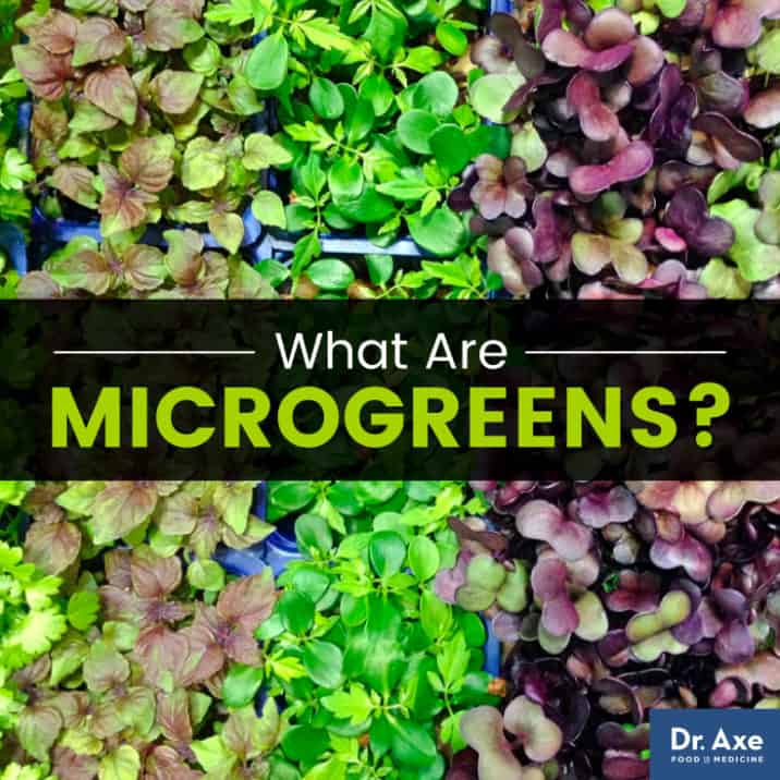 What Are Microgreens? Top 10 Microgreens & How to Grow Them – DRS.NG