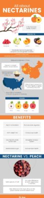 Nectarine Benefits, Nutrition, Recipes, How It Compares to Peach - Dr. Axe