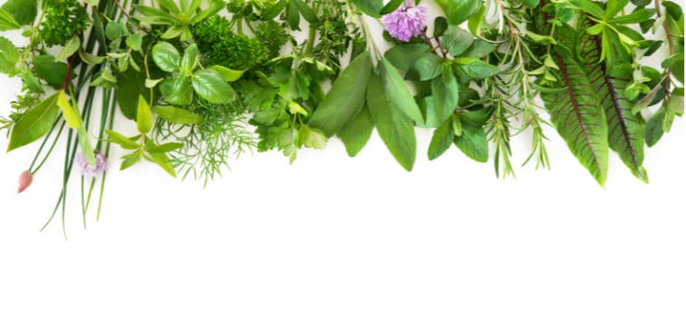 Antiviral Herbs: Protect Against Viruses and How to Use