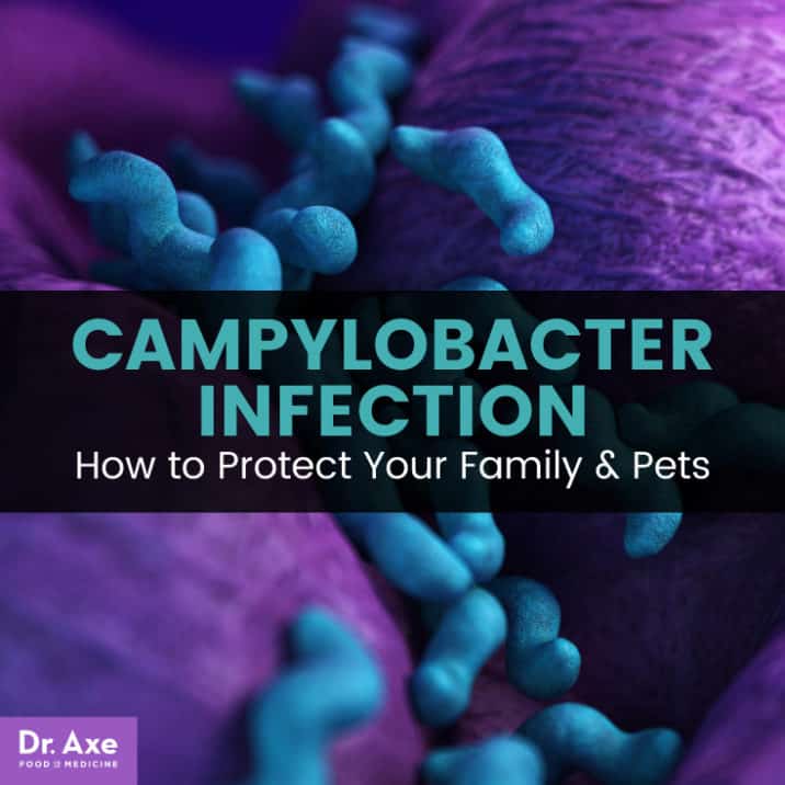 Campylobacter Causes & Symptoms + What to Do - Dr. Axe