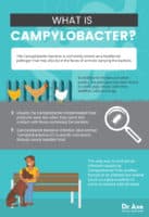 Campylobacter Causes & Symptoms + What to Do - Dr. Axe