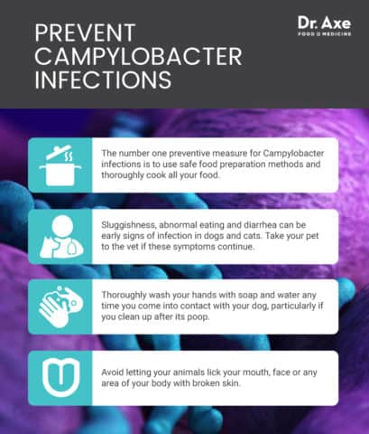 Campylobacter Causes & Symptoms + What to Do - Dr. Axe