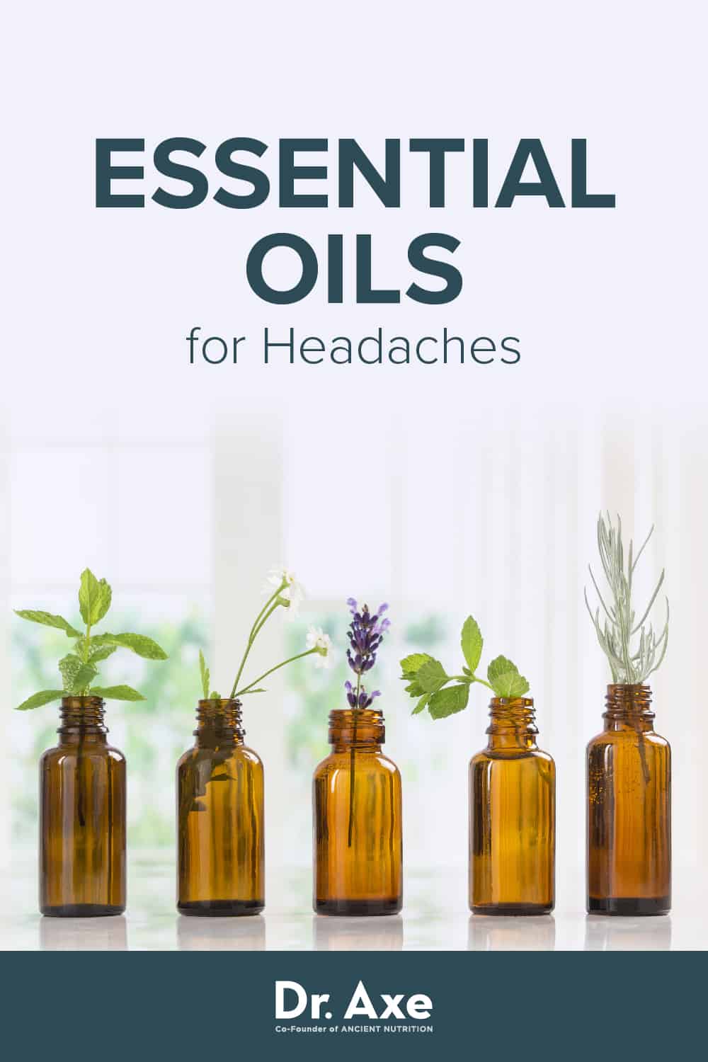 The Top 4 Essential Oils for Headaches - Dr. Axe