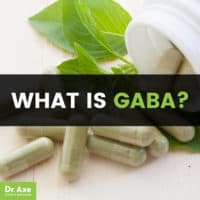 Gaba (Gamma-Aminobutyric Acid) Uses, Benefits and Risks - Dr. Axe
