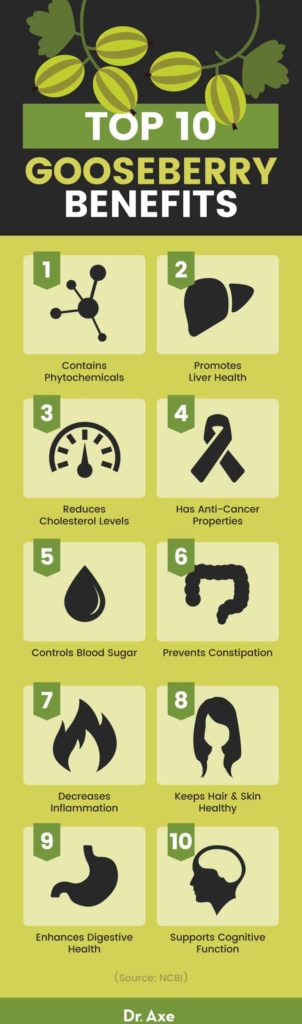 Indian Gooseberry Benefits, Nutrition, Recipes and Side Effects - Dr. Axe