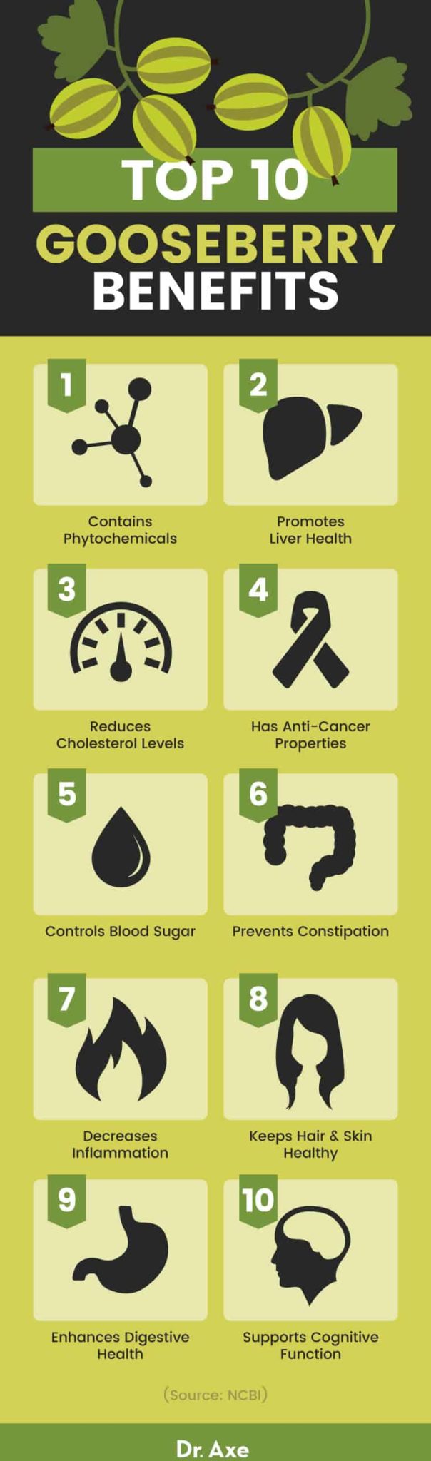 Indian Gooseberry Benefits, Nutrition, Recipes and Side Effects - Dr. Axe