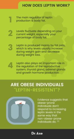 What Is Leptin? How to Increase It and Fight Resistance - Dr. Axe