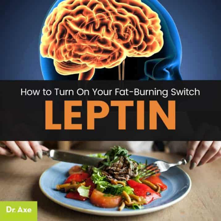 Leptin: How to Turn On This Fat-Burning Hormone - Dr. Axe