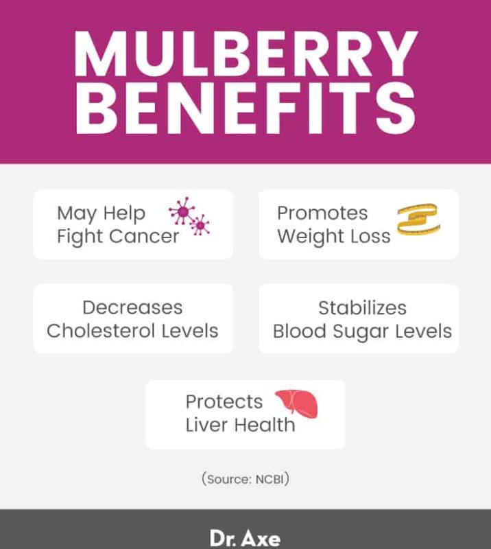 Mulberry Fruit Benefits, Nutrition, Recipes and Side Effects - Dr. Axe