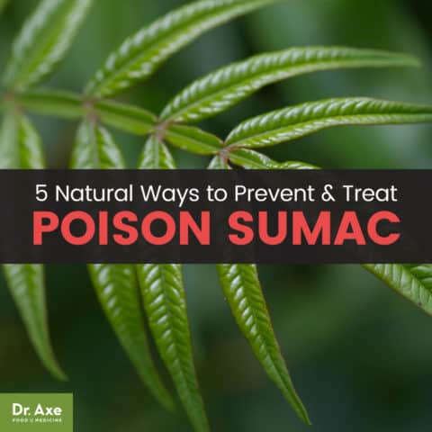 Poison Sumac Symptoms + 5 Natural Treatments - Dr. Axe