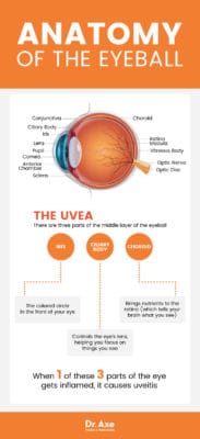 Uveitis + 7 Natural Ways to Improve Symptoms - Dr. Axe
