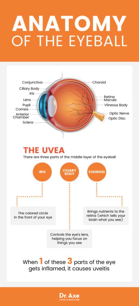 Uveitis + 7 Natural Ways to Improve Symptoms - Dr. Axe