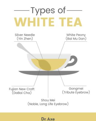 White Tea Benefits, Nutrition, Recipes and More - Dr. Axe