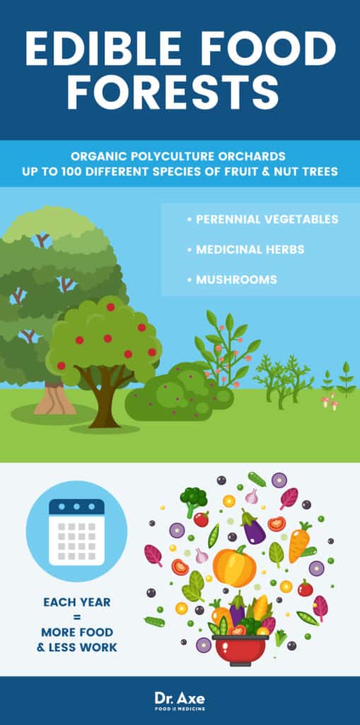 Heal the Planet Farm: Jordan Rubin's Plan to Reshape the Food System