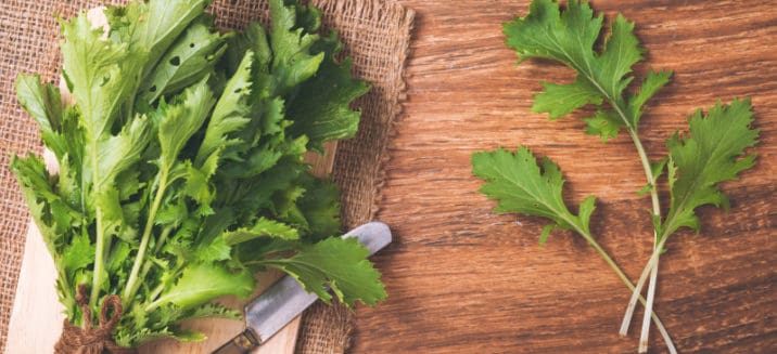 Mizuna Benefits, Nutrition, Uses, Recipes and How to Grow - Dr. Axe