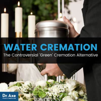 Water Cremation: Alkaline Hydrolysis As a Green Option - Dr. Axe