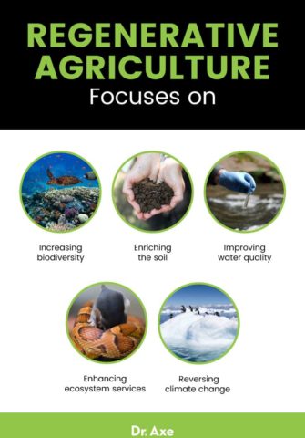 Regenerative Agriculture Principles, Benefits and More - Dr. Axe